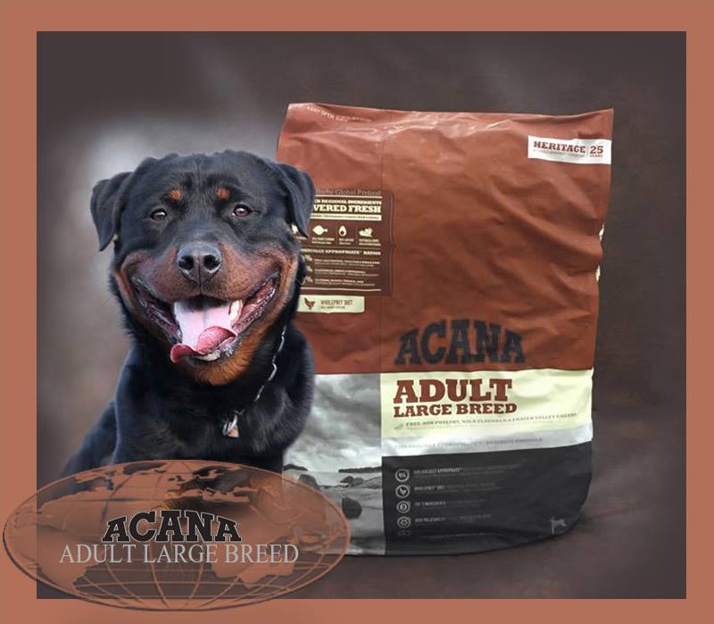 Hunde - und Katzenfutter der Extraklasse - Acana Adult Large Breed 11,4kg