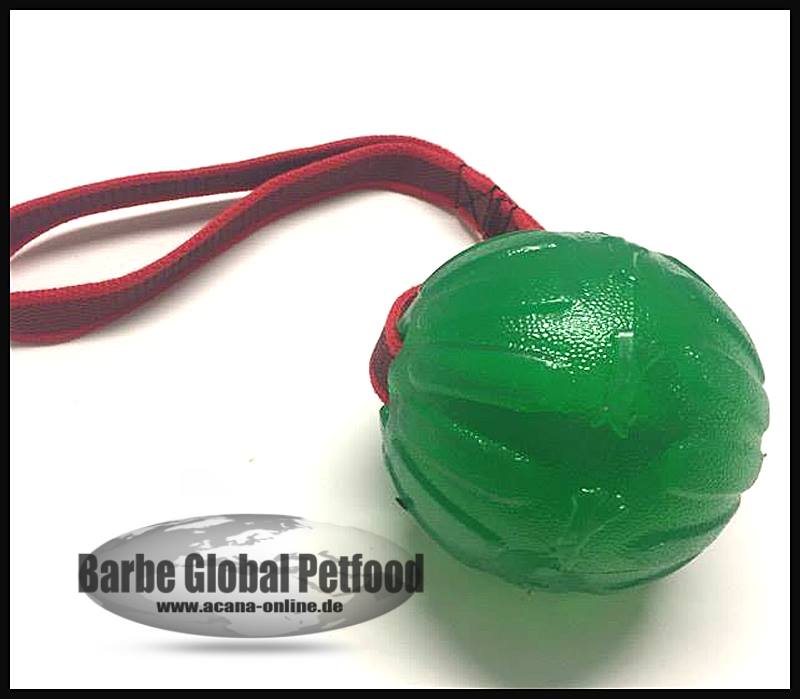 Hunde - und Katzenfutter der Extraklasse - Everlasting Fun Ball